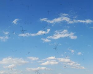 Vitrectomy for Floaters Atlanta | What are Floaters | Georgia Retina